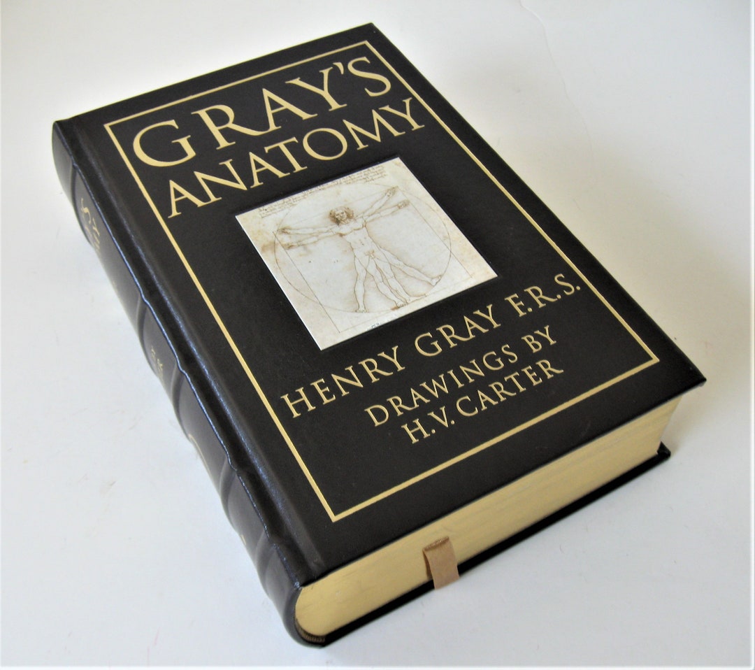 Vintage Leather Bound Gray's Anatomy, Henry Gray, Medical Textbook ...