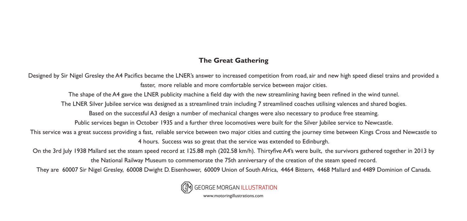 Six A4 Pacific's the Great Gathering Greeting Card DL | Etsy