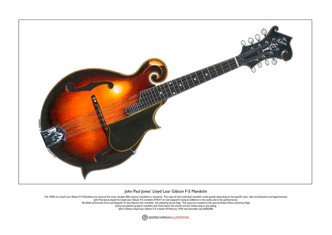 F5 Mandolin Drawing