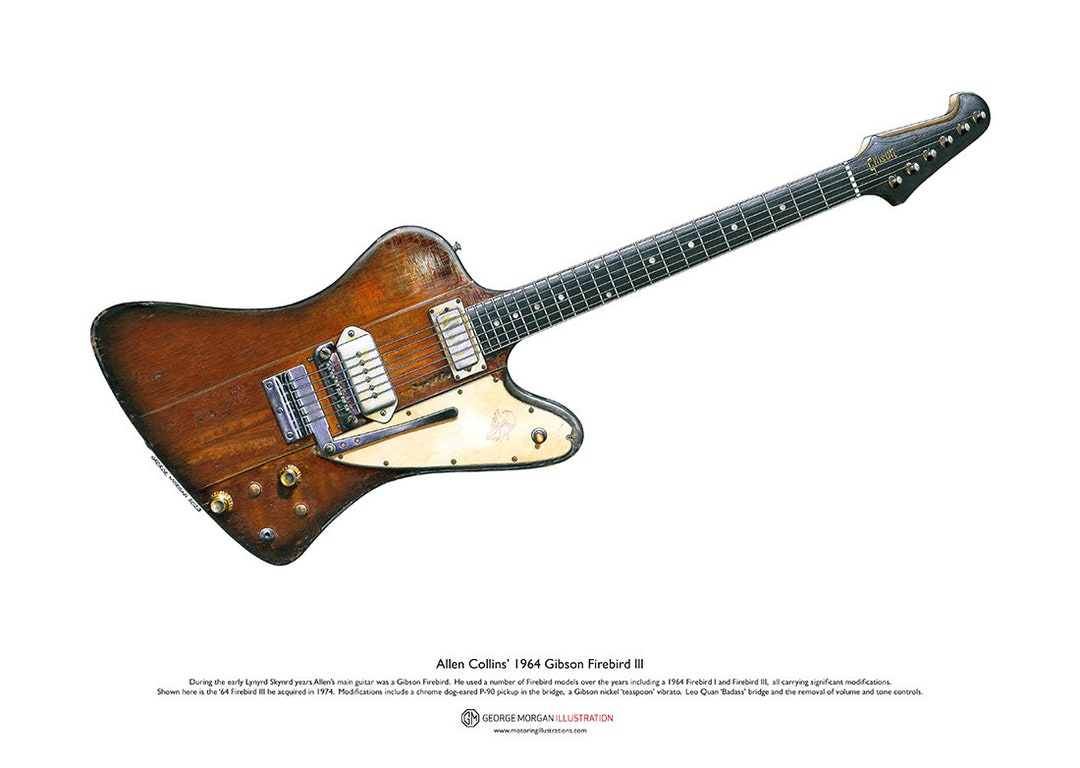 Allen Collins Gibson Firebird ART POSTER A3 Size - Etsy