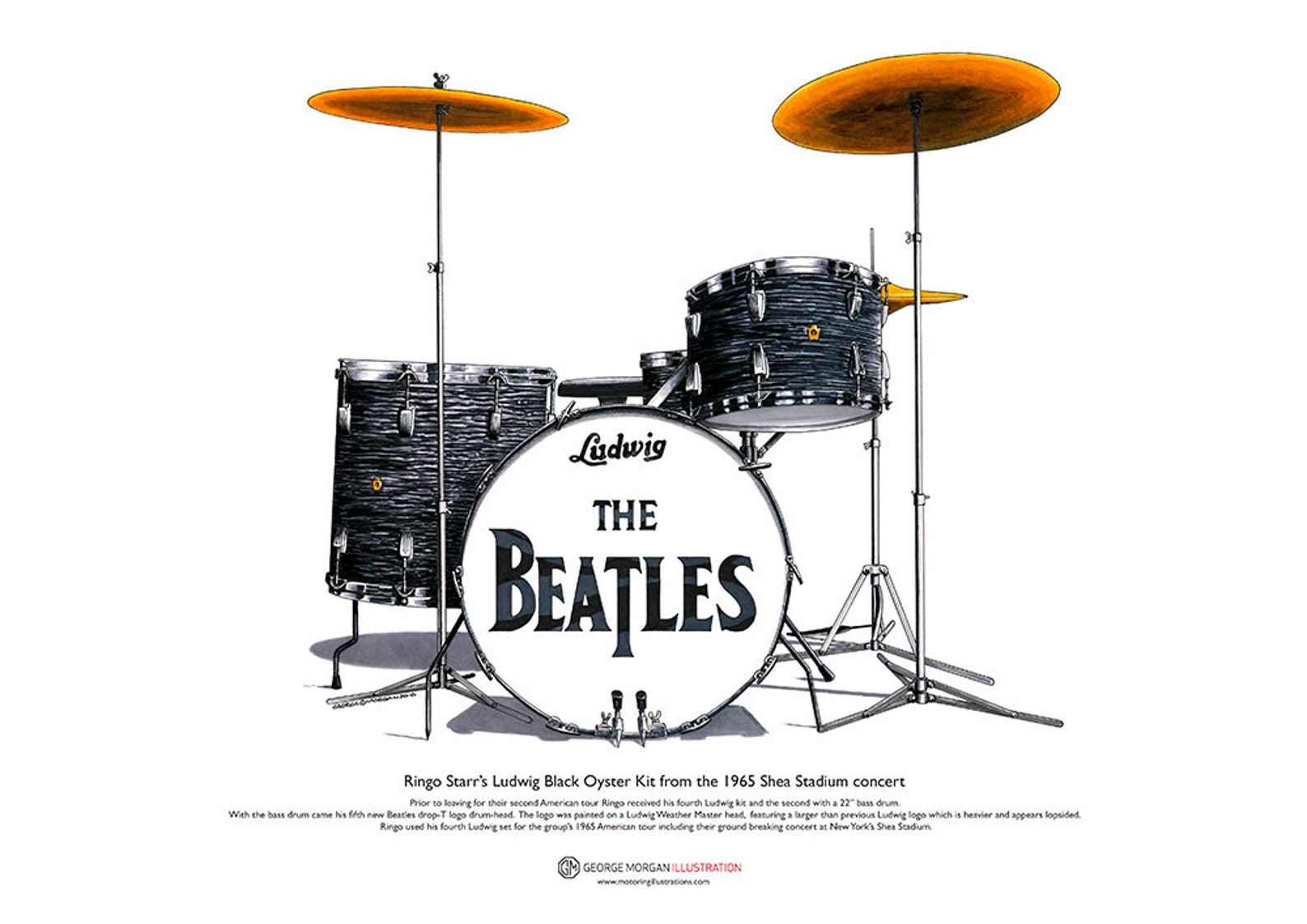 Ringo Starr's Ludwig Kit From the Shea Stadium Concert ART - Etsy