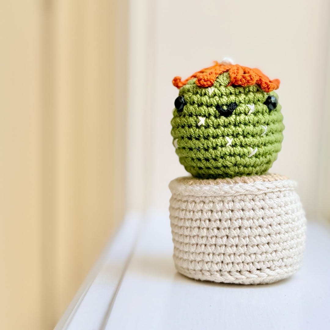 Crochet Daisy Cactus Pot: Handmade Amigurumi Gift - Etsy New Zealand