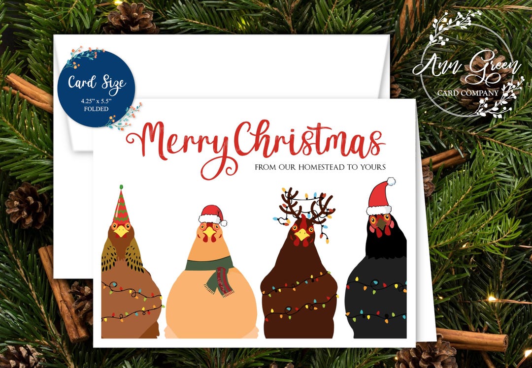 Chicken Christmas Cards, Chickens Scarfs, Antlers, Lights, Santa Hat ...