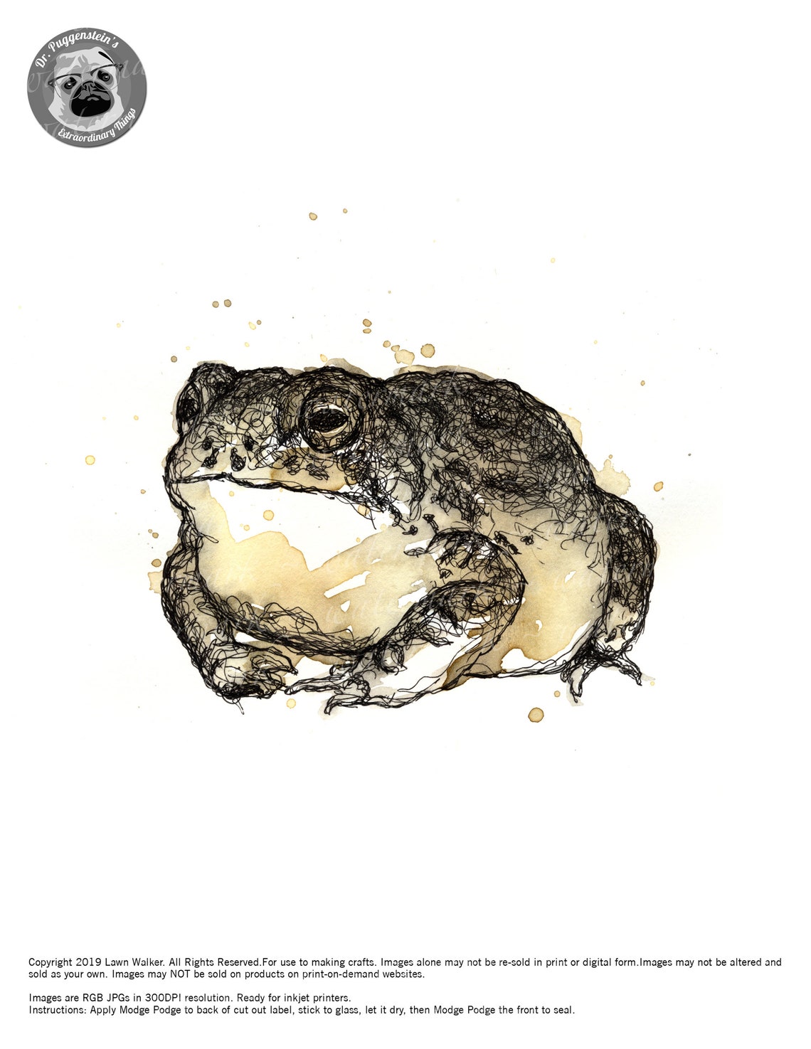 Toad Toxin Poison Hand Drawn Art Halloween Potion Bottle Label - Etsy