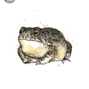 Toad Toxin Poison Hand Drawn Art Halloween Potion Bottle Label - Etsy