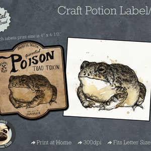 Toad Toxin Poison Hand Drawn Art Halloween Potion Bottle Label - Etsy