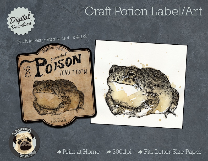 Toad Toxin Poison Hand Drawn Art Halloween Potion Bottle Label - Etsy