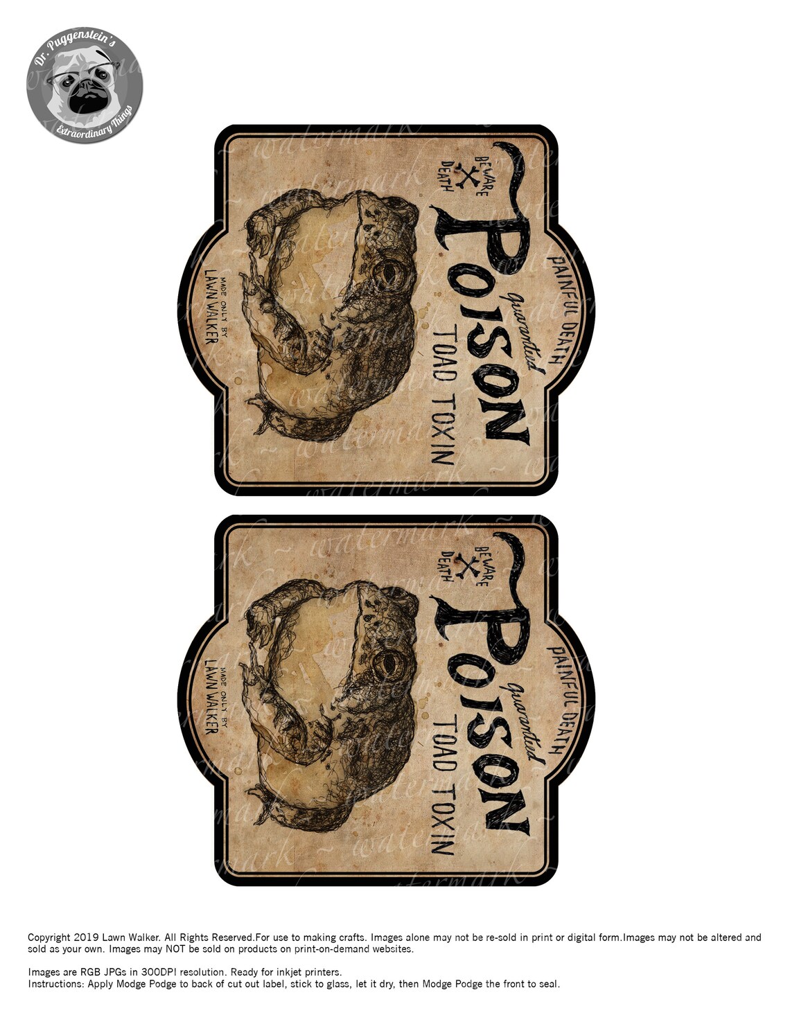 Toad Toxin Poison Hand Drawn Art Halloween Potion Bottle Label - Etsy