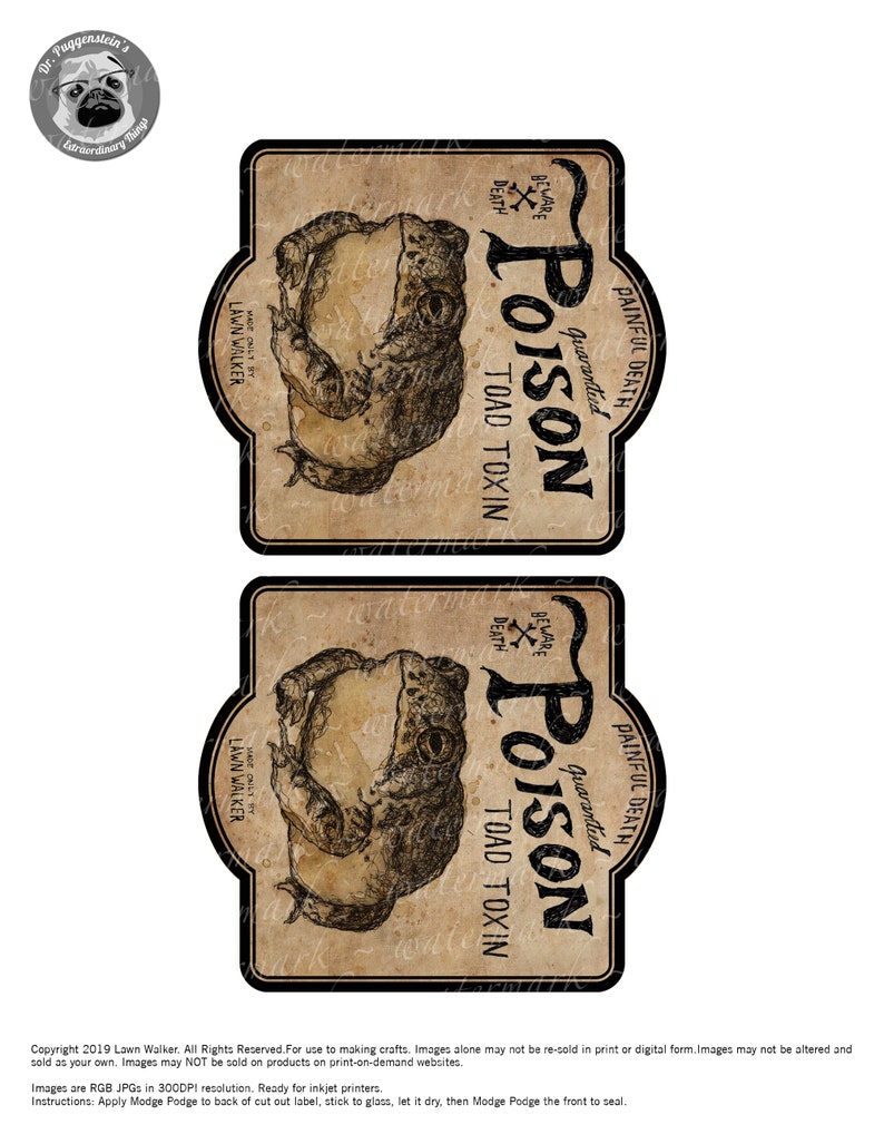 Toad Toxin Poison Hand Drawn Art Halloween Potion Bottle Label - Etsy