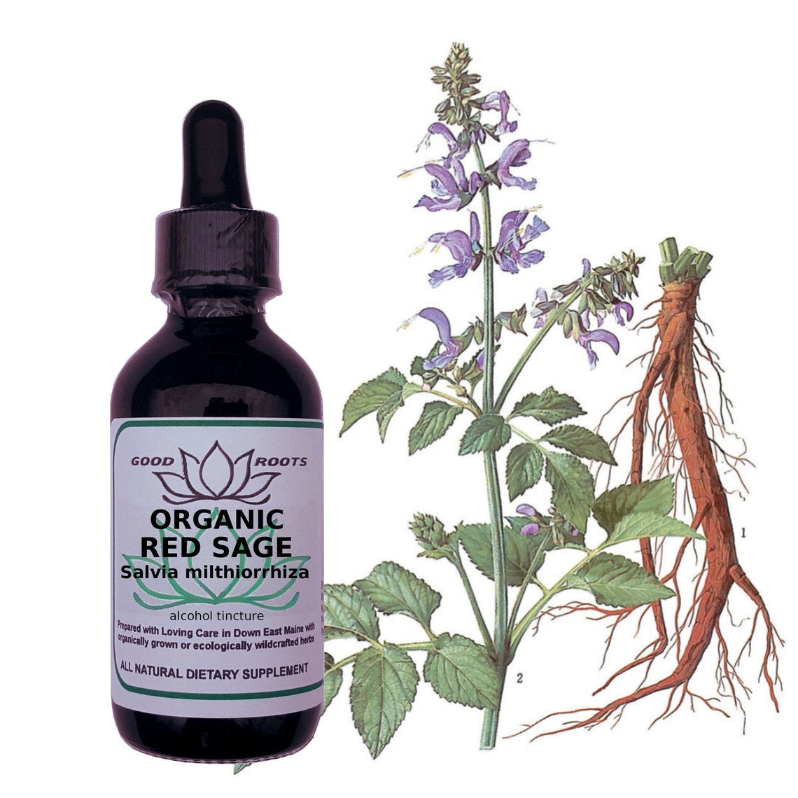 Red Sage Root Organic Tincture of Salvia Miltiorrhiza - Etsy