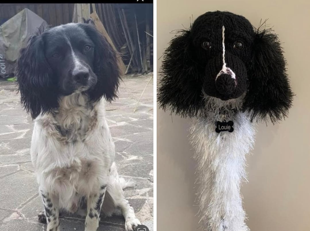 Hand Knit Springer Spaniel Golf Club Cover Golf Sock Made to - Etsy