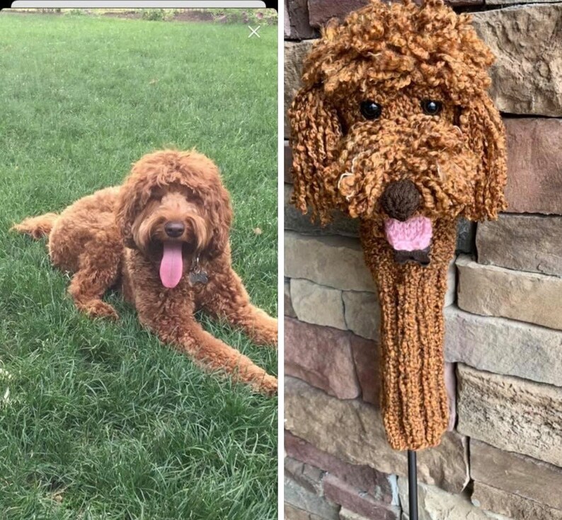 Made to Order Hand Knit Red Labradoodle Golden Doodle Dog Golf - Etsy