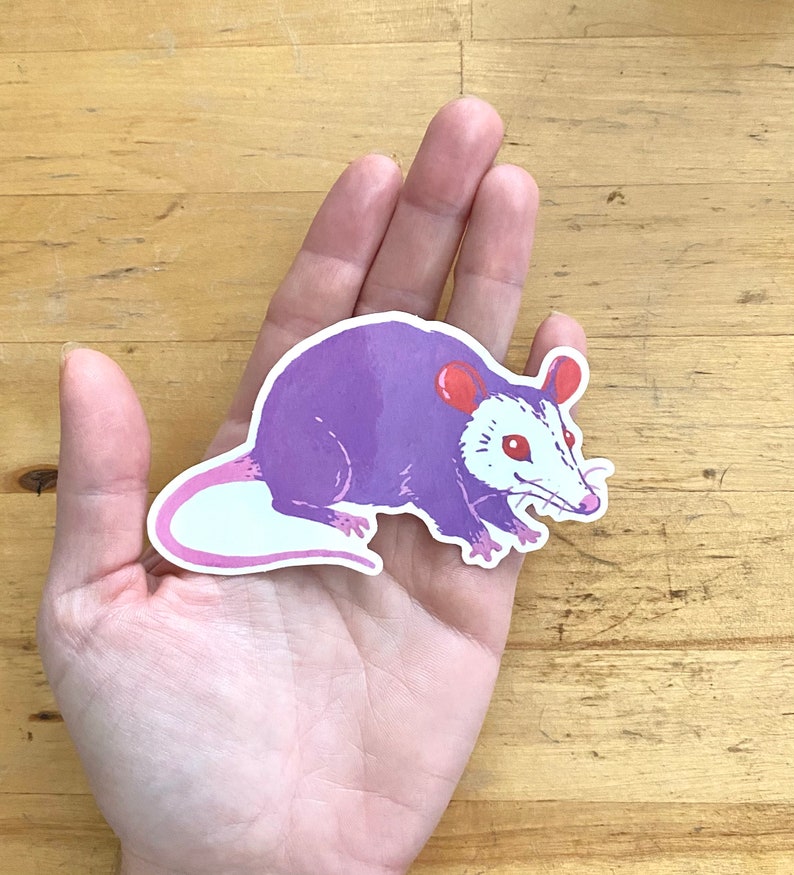 Pastel Possum Vinyl Sticker Large Weather Proof Sticker Colorful Animal ...