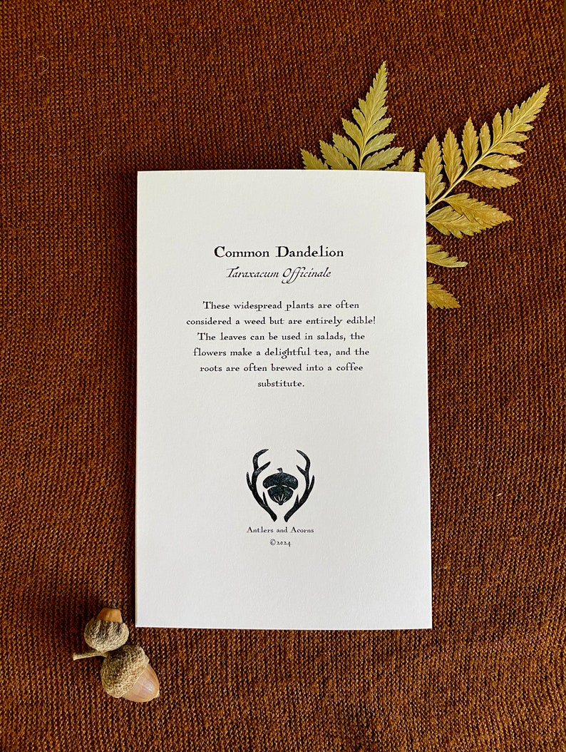 Edible Plant Greeting Card Set - Herbalism Note Card Set - Botanical ...