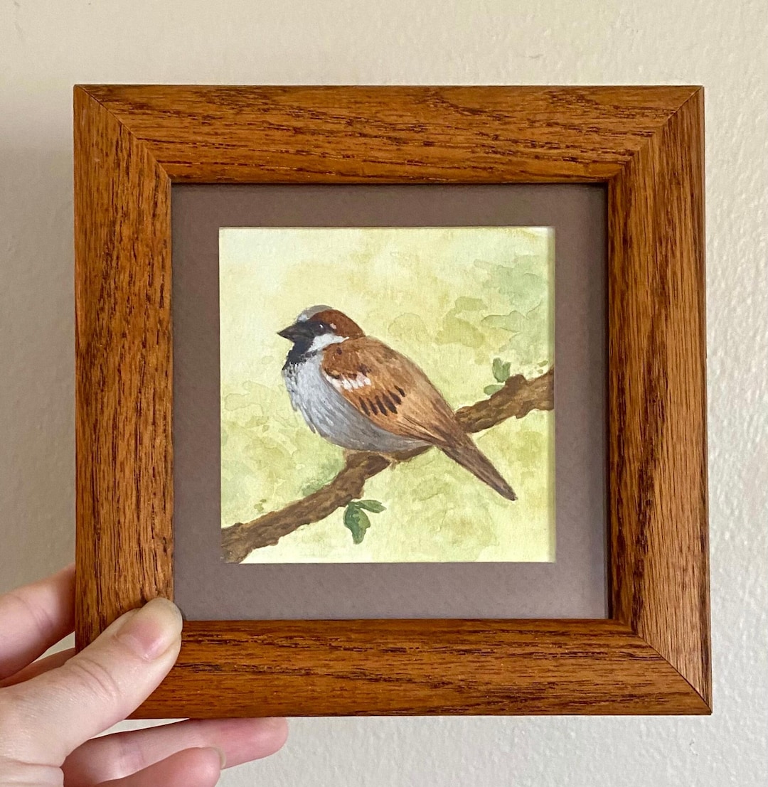 Miniature House Sparrow Painting - Solid Wood Frame - Ornithology Art ...