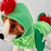 Dog Bird Costume- Dog Halloween Costume- Pet Costume- Pet Bird Costume ...