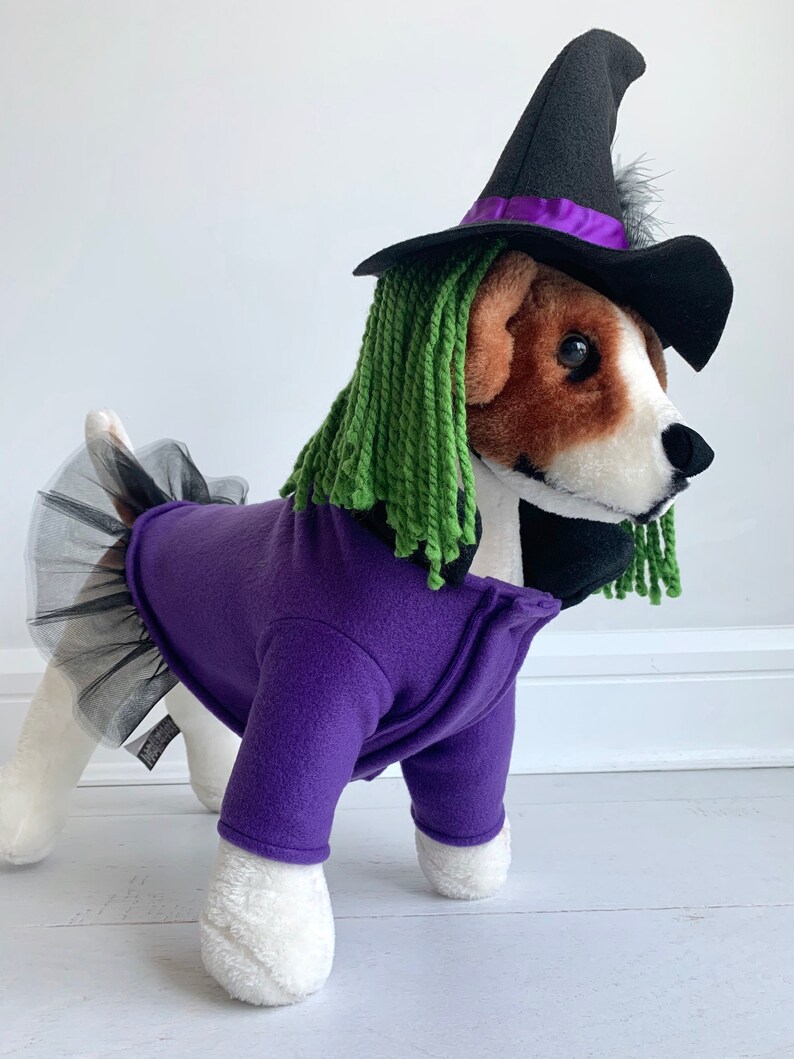 Witch costume Dog halloween costume Dog witch costume by | Etsy
