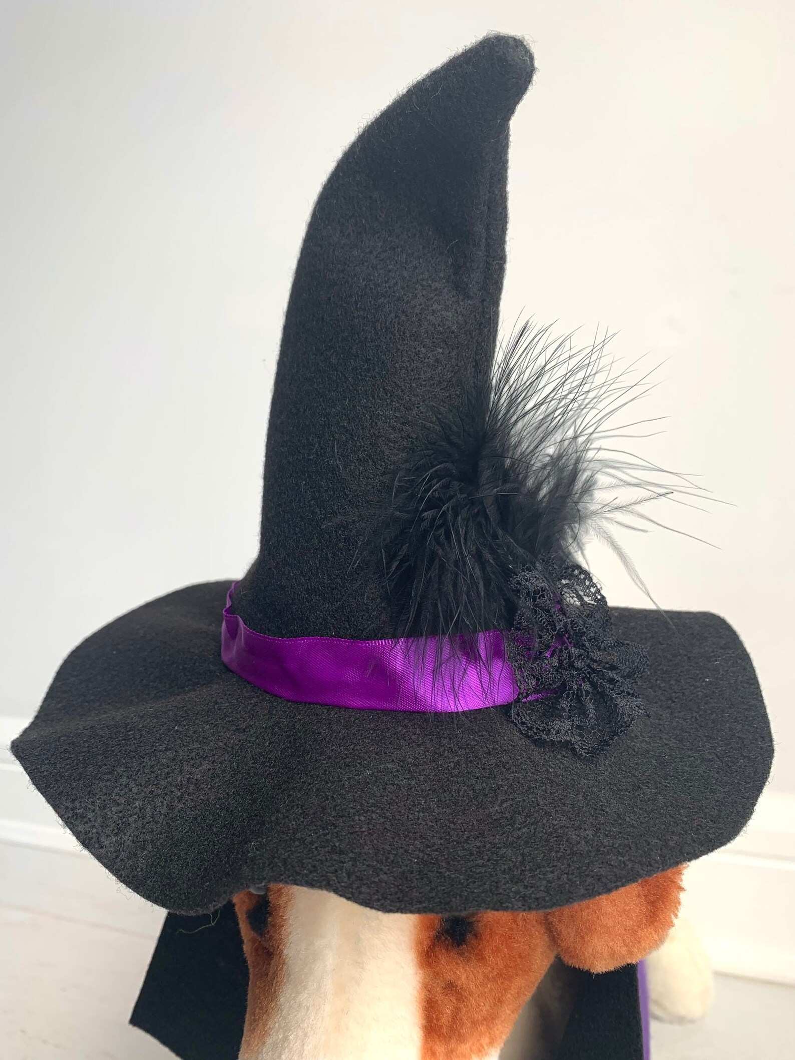 Witch Costume Dog Halloween Costume Dog Witch Costume by | Etsy
