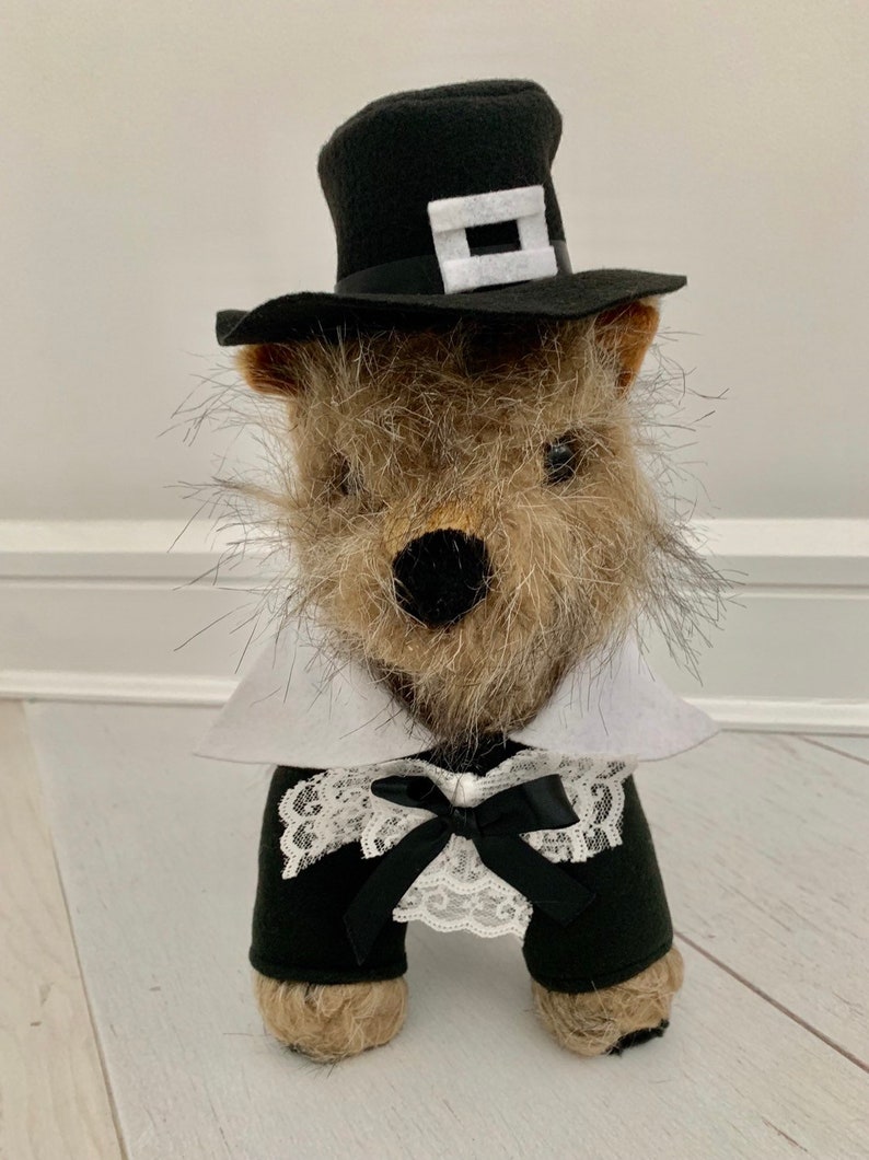 Pilgrim Boy Dog Costume- Thanksgiving Dog Costume- Pilgrim Dog Costume ...