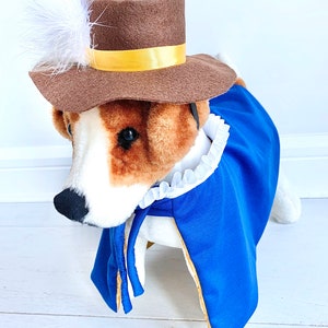 Three Musketeers Costume- Dog Halloween Costume- Halloween Costume ...