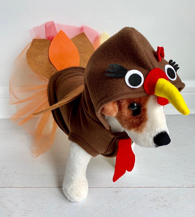 Turkey Costume Turkey Girl Costume Dog Thanksgiving Costume - Etsy