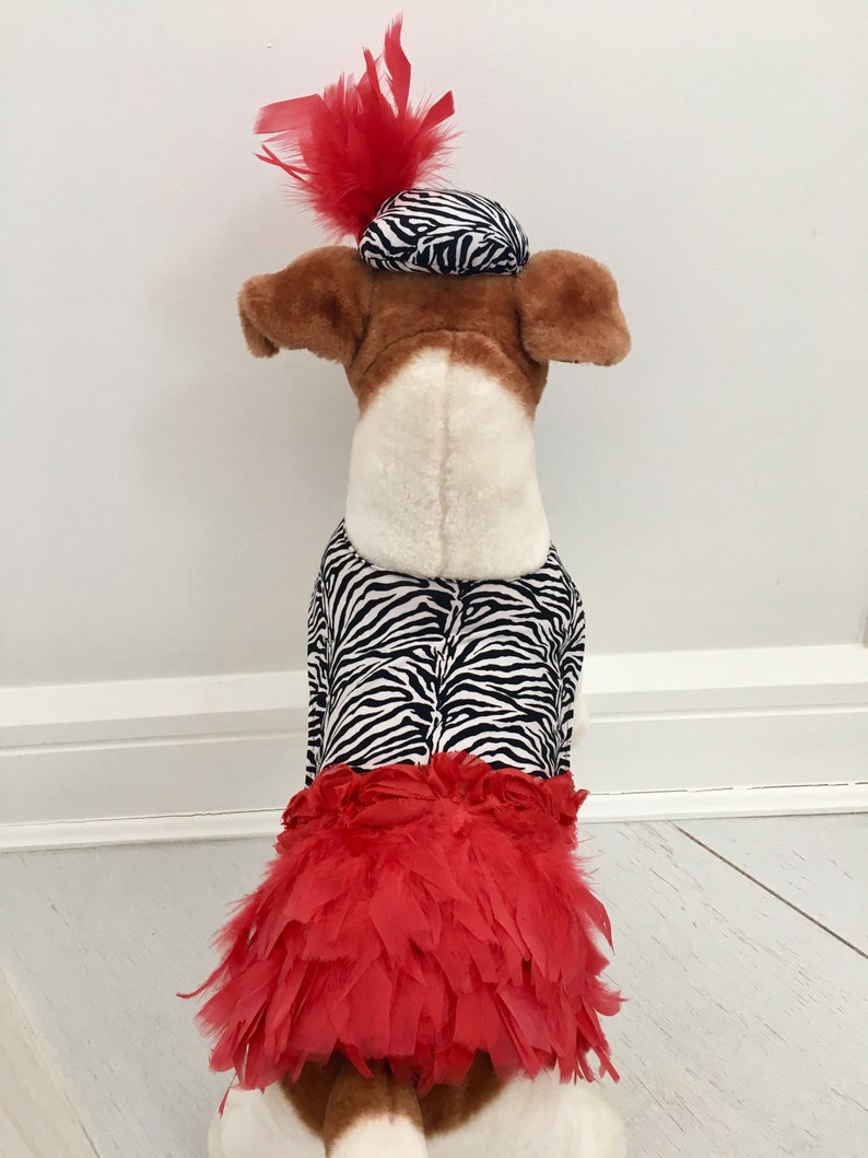 Burlesque Dress With Fascinator, Dog Halloween Costume, Burlesque ...