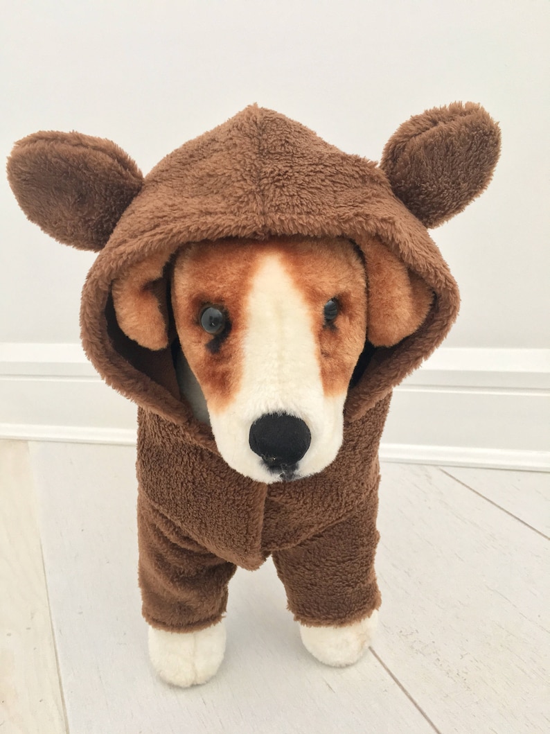 Teddy bear dog costume - nipodculture