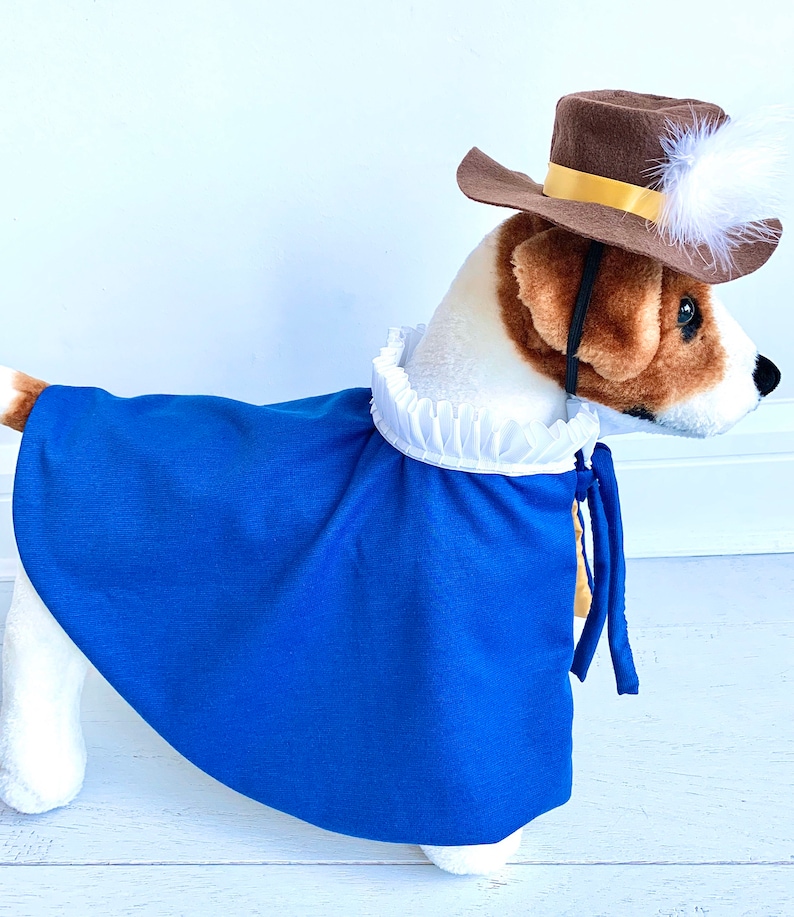 Three Musketeers Costume Dog Halloween Costume Halloween | Etsy