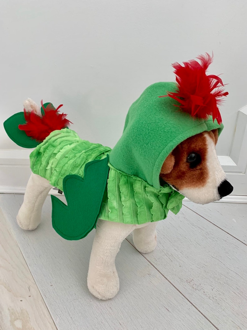 Dog Bird Costume- Dog Halloween Costume- Pet Costume- Pet Bird Costume ...