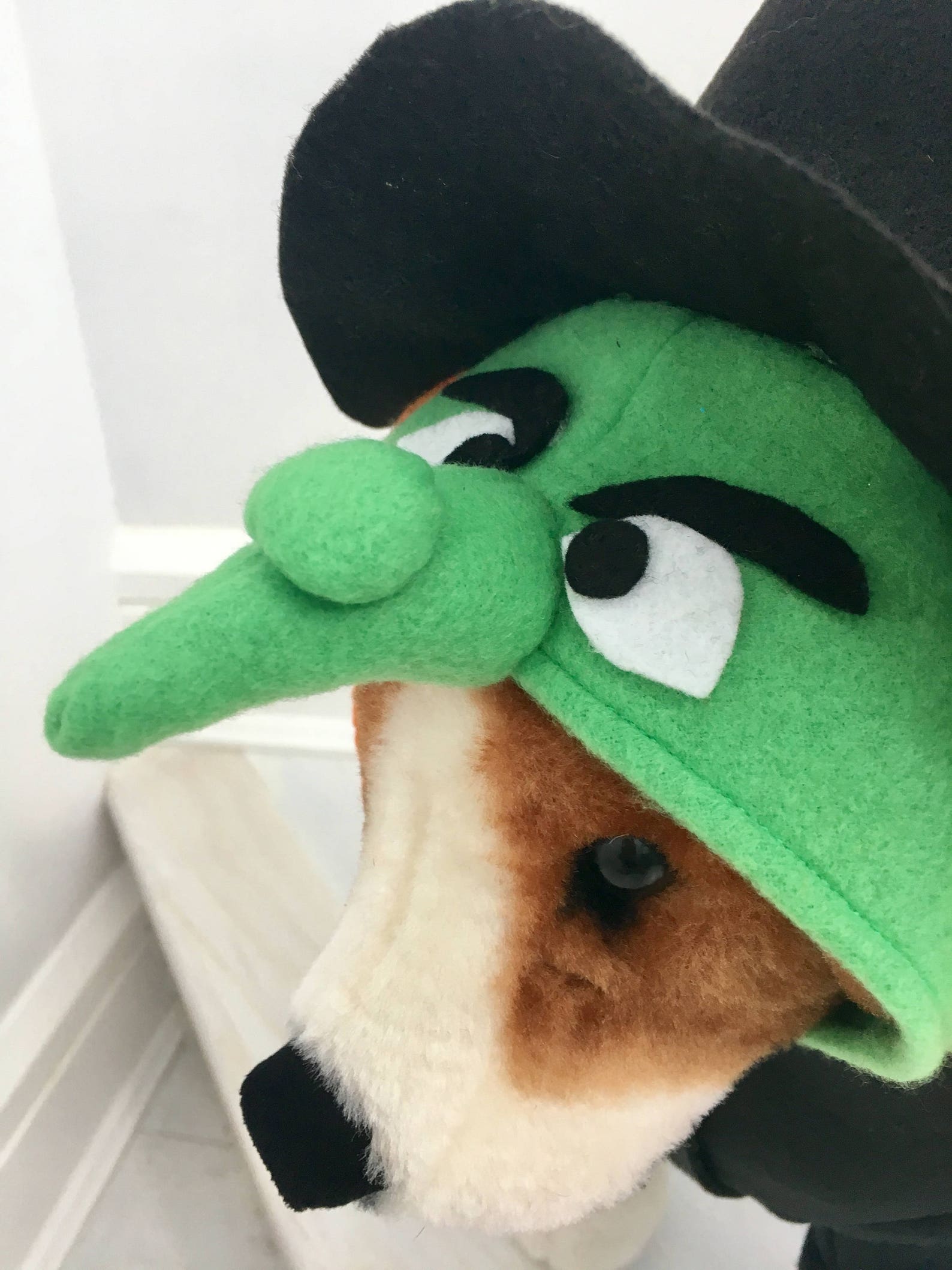 Witch Costume Dog Halloween Costume Dog Witch Costume Pet - Etsy