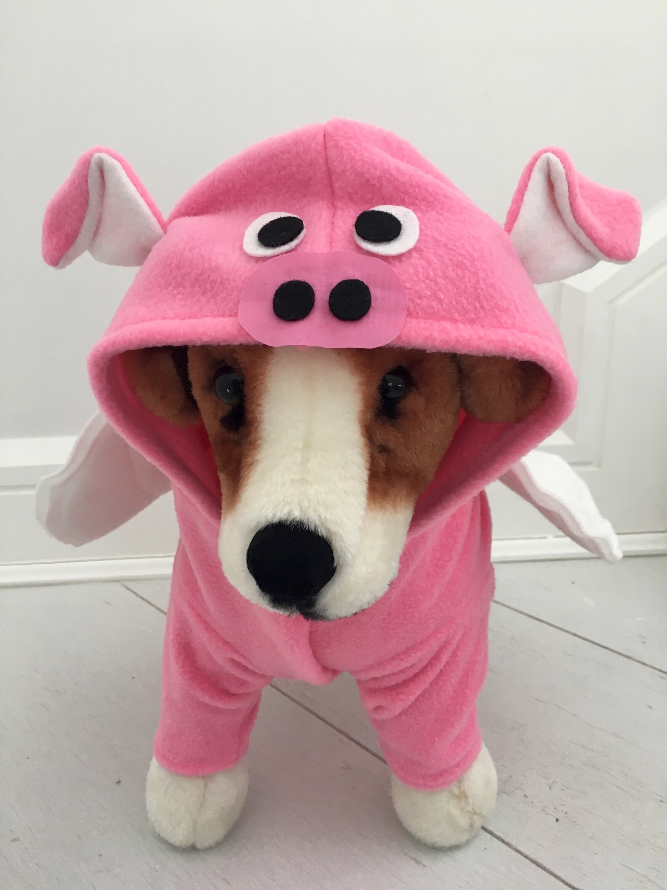 Flying Pig Costume