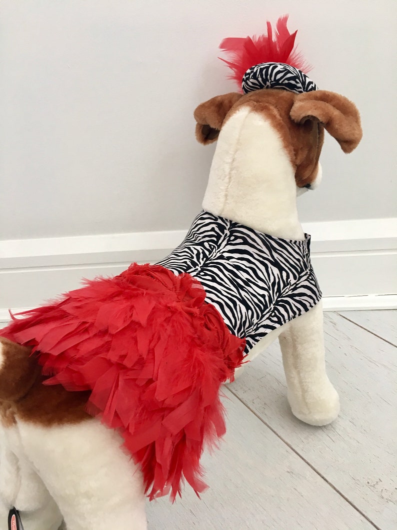 Burlesque Dress With Fascinator Dog Halloween Costume - Etsy