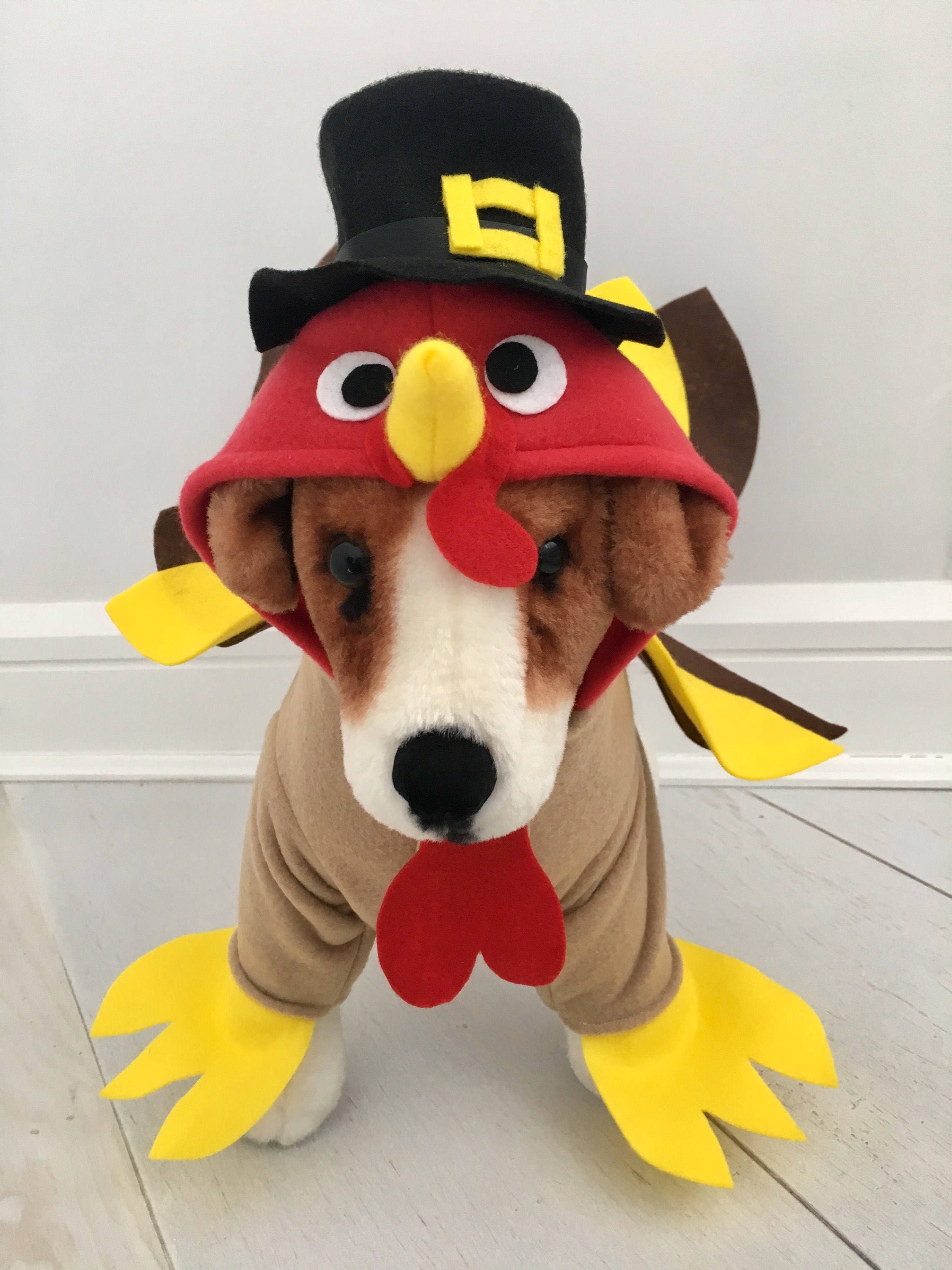 Cartoon Dog Dressed As Turkey