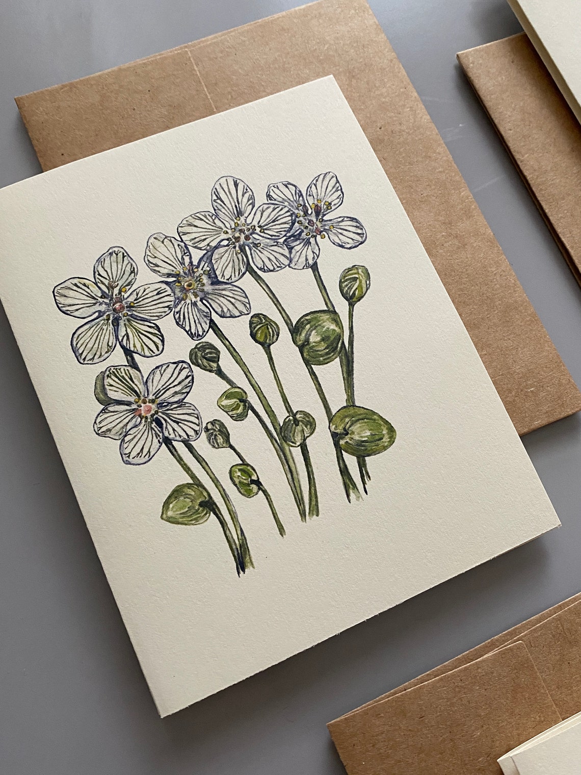 Botanical Nature Greeting Cards - Etsy
