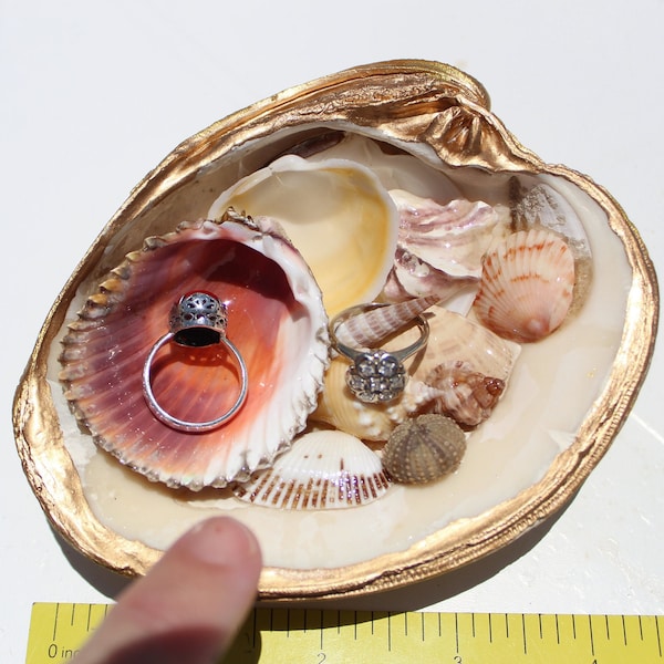 Shell Ring Holder - Etsy
