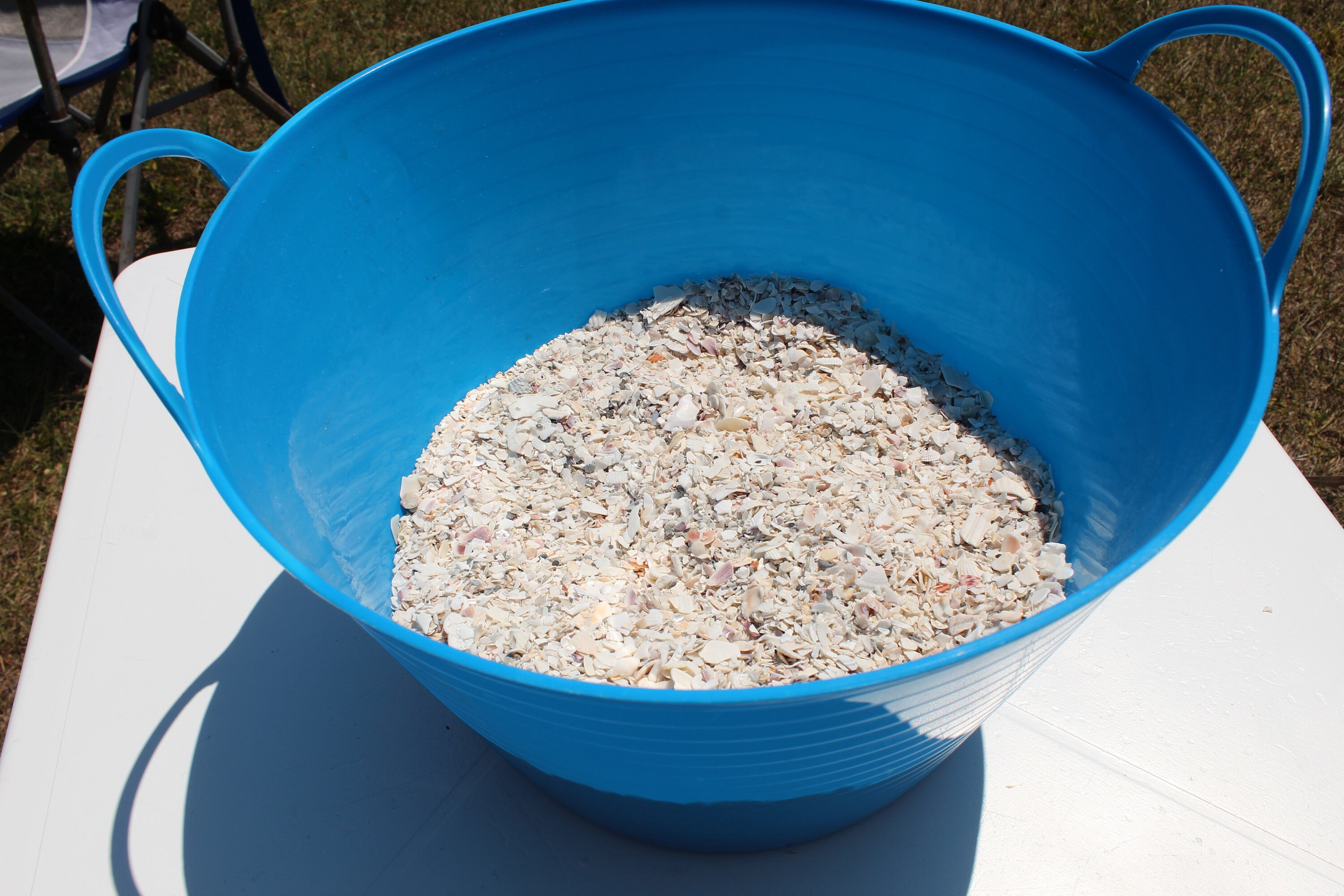 Natural Crushed Shells, 1 Lb Broken Shells, Shell Pieces, Vase Filler ...
