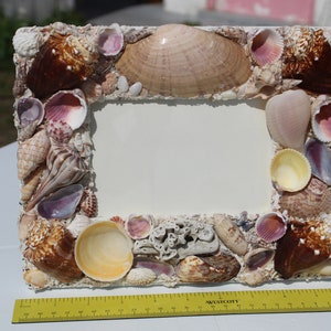 Seashell Frame, Beach Photo Frame, Shell Photo Frame, Shell Frame ...
