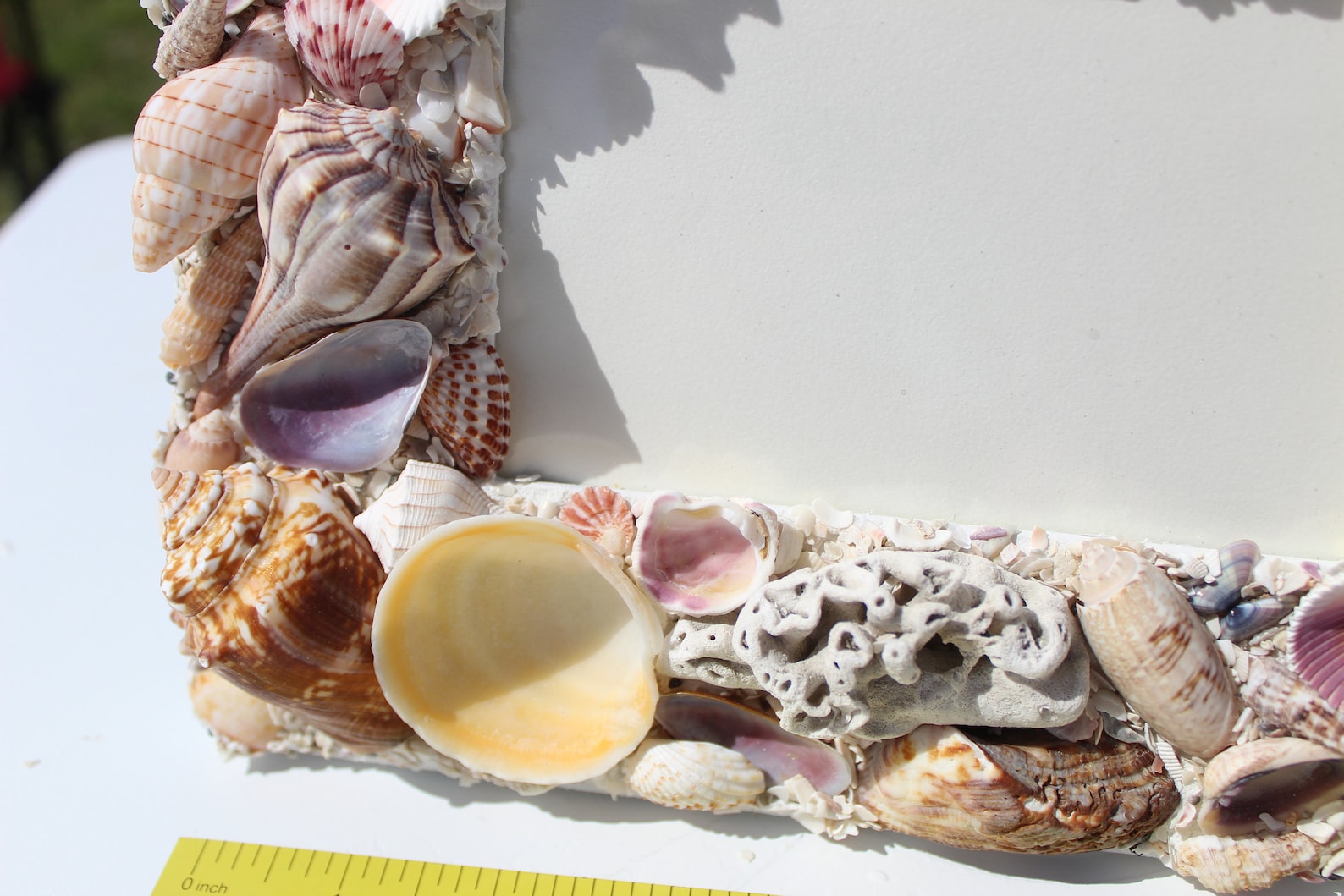 Seashell Frame, Beach Photo Frame, Shell Photo Frame, Shell Frame ...
