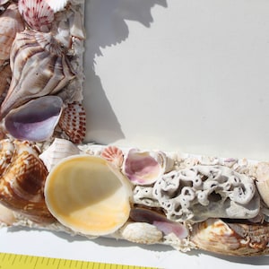 Seashell Frame, Beach Photo Frame, Shell Photo Frame, Shell Frame ...