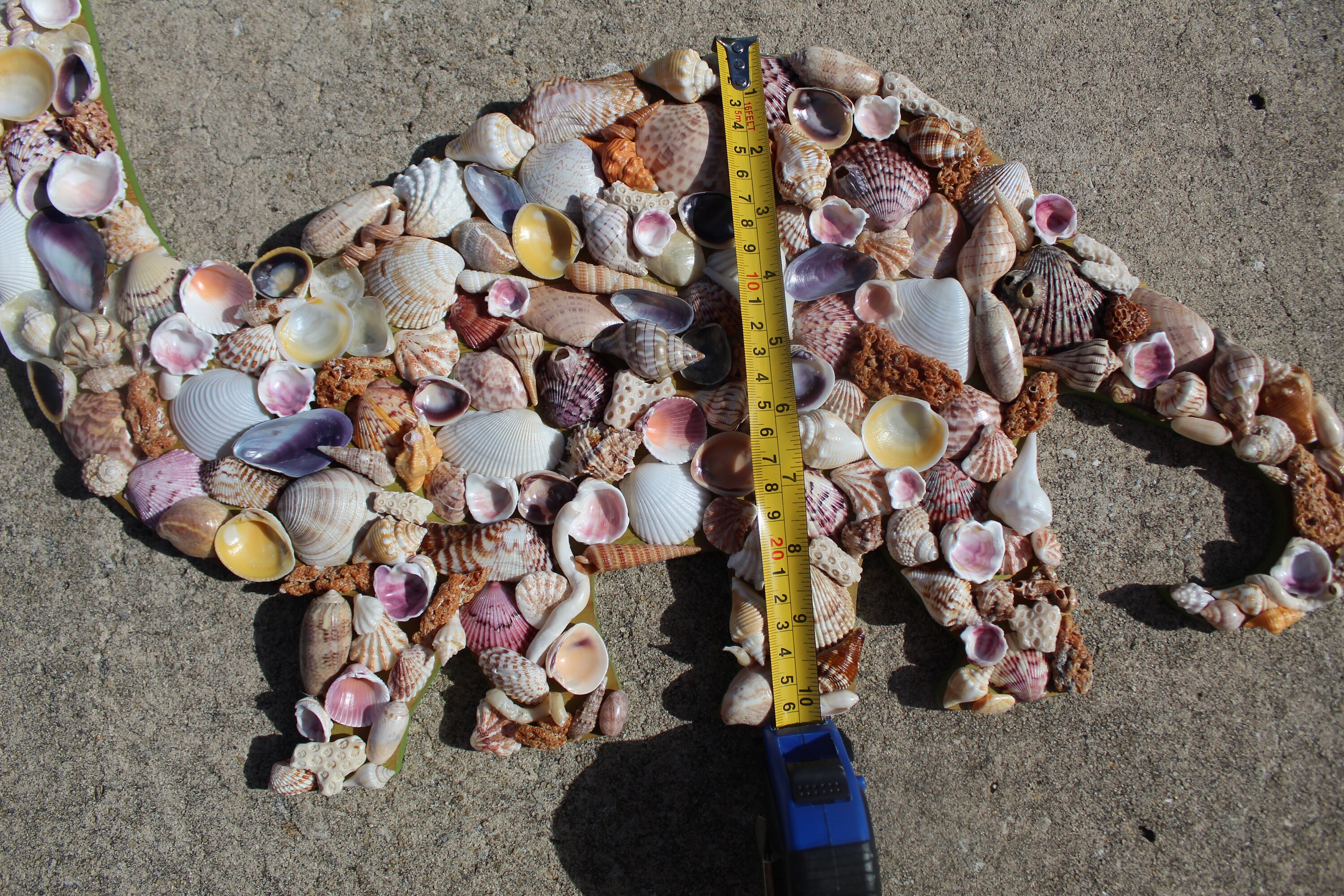 Nursery Shell Dinosaur Wall Decor-dino Bedroom-nursery Decor for Baby ...