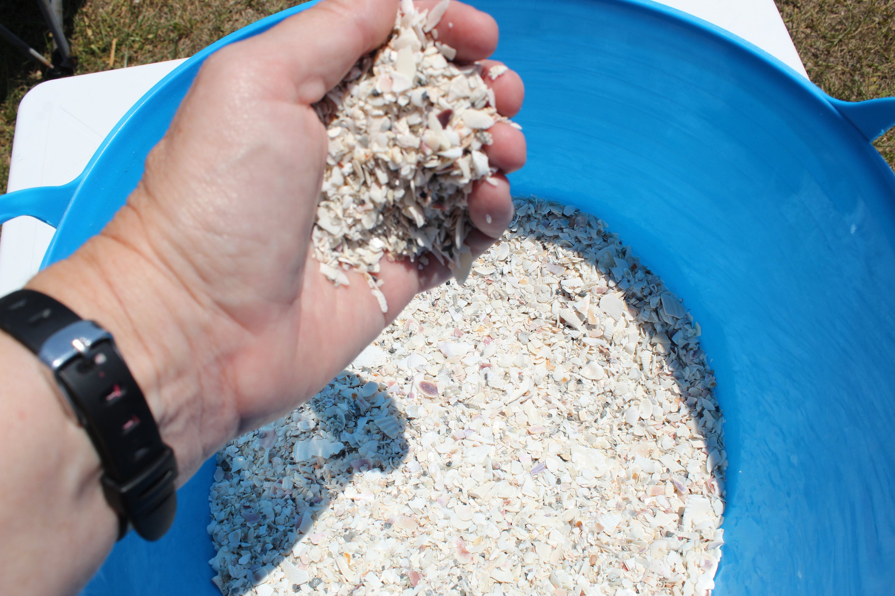 Natural Crushed Shells, 1 Lb Broken Shells, Shell Pieces, Vase Filler ...