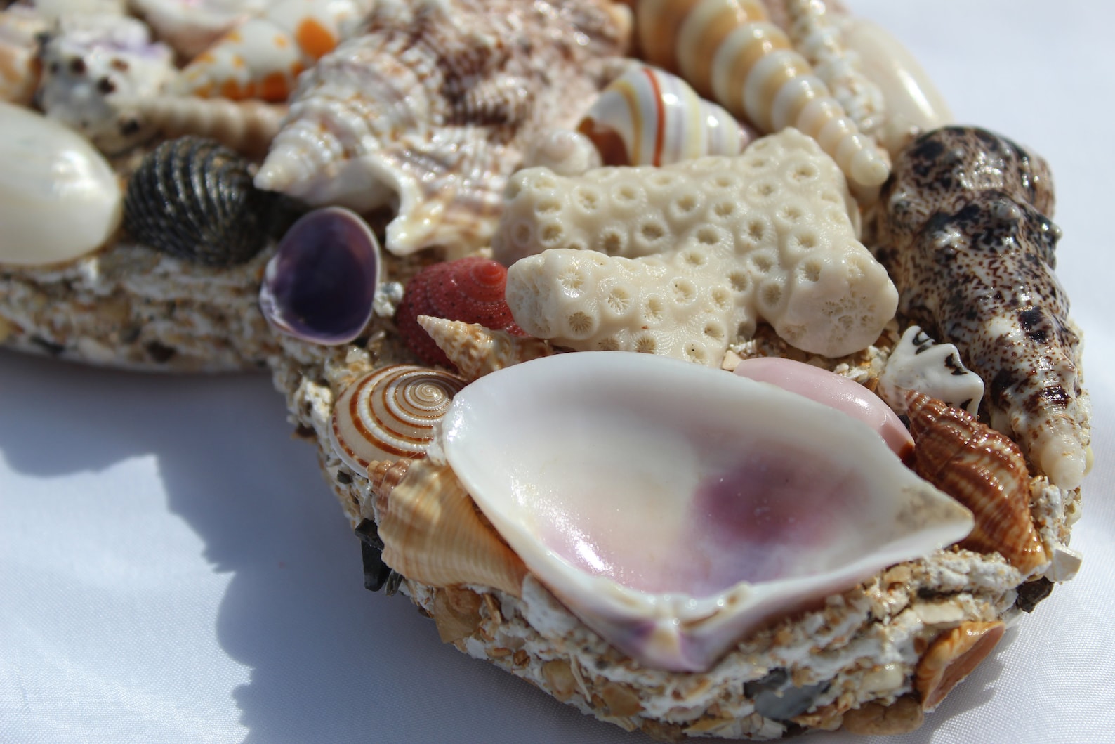 Small Shell Heart Wood Sea Shell Heart Handcrafted Heart | Etsy