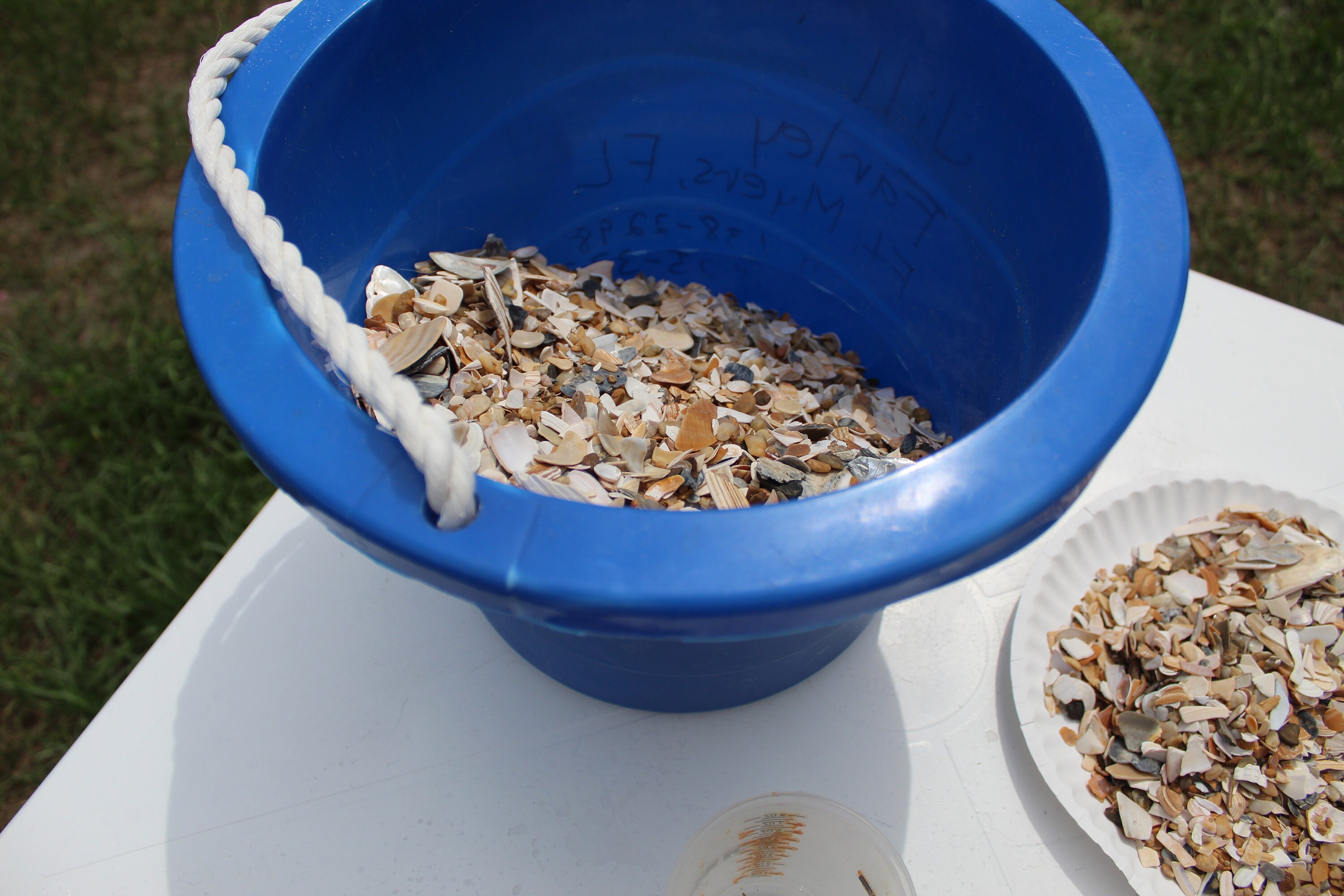 Natural Crushed Shells, 1 Lb Broken Shells, Shell Pieces, Vase Filler ...