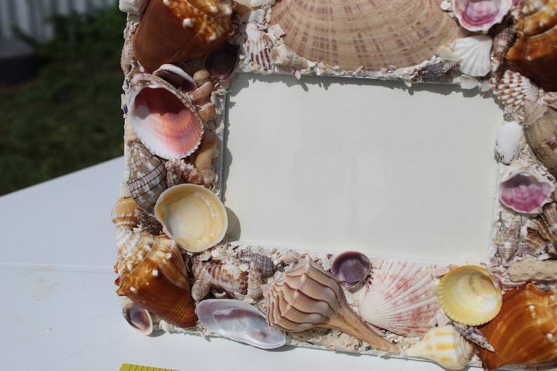 Seashell Frame, Beach Photo Frame, Shell Photo Frame, Shell Frame ...