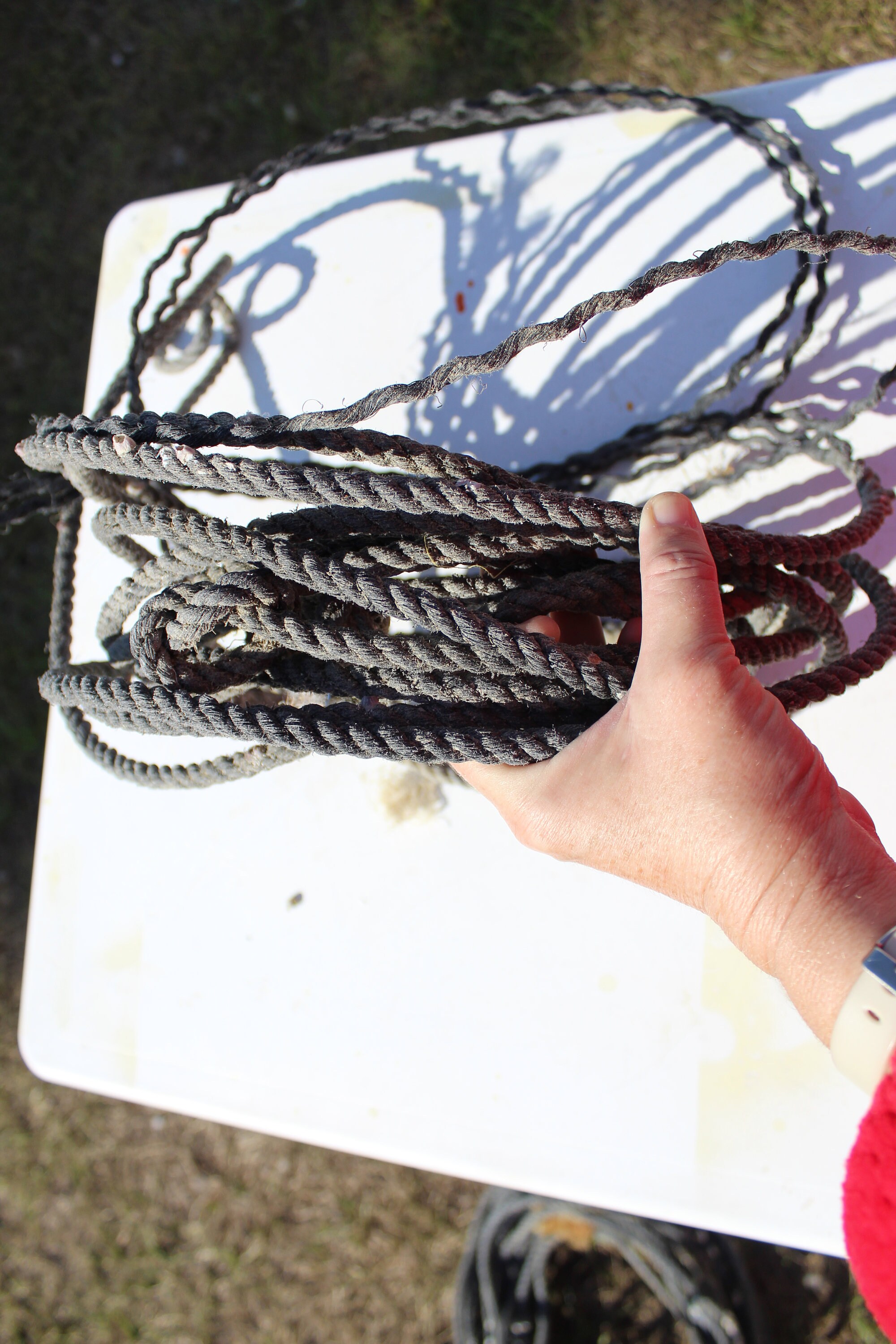 Authentic Used Fishing Rope Barnacle Fishing Rope Recycled Reclaimed ...
