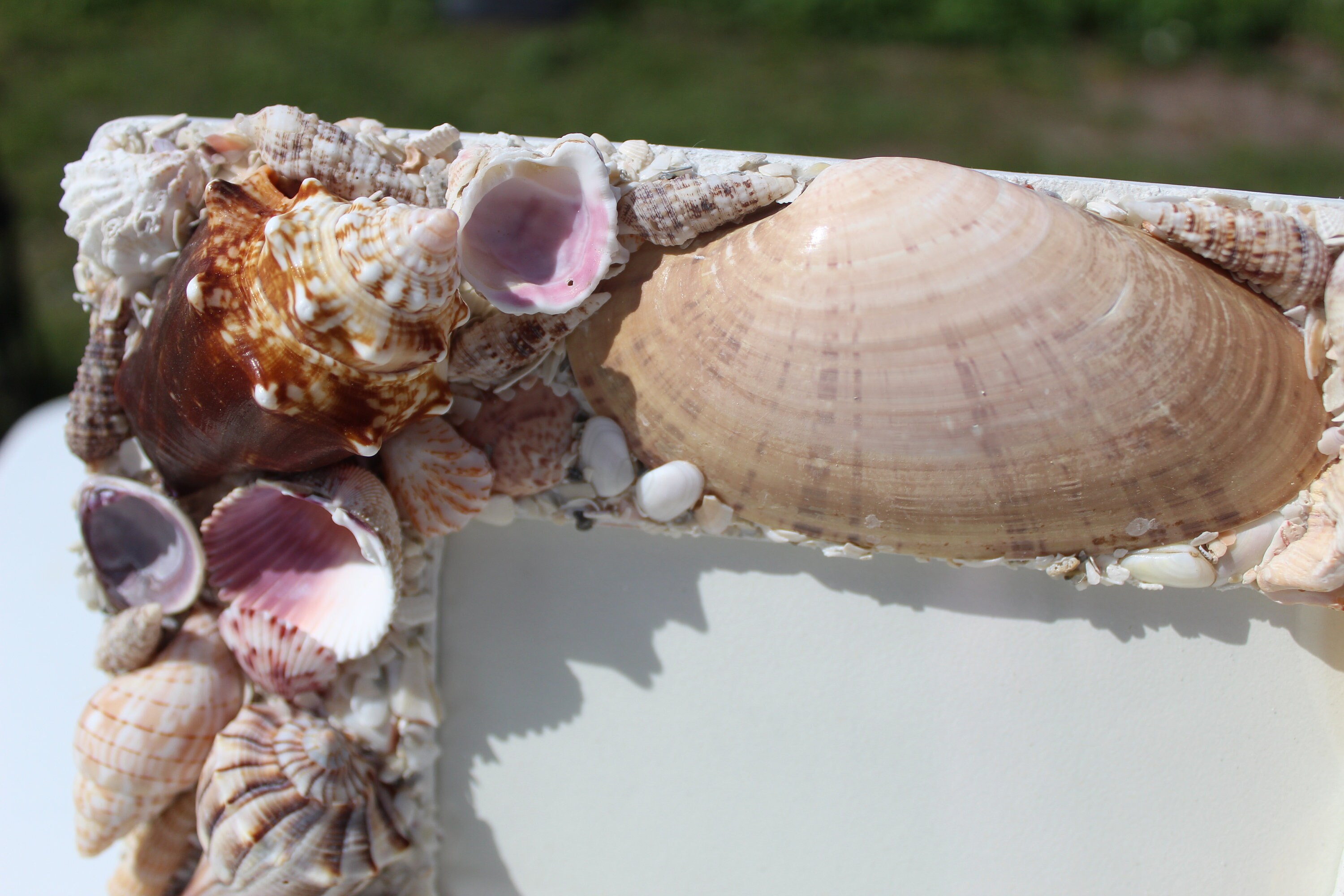 Seashell Frame, Beach Photo Frame, Shell Photo Frame, Shell Frame ...