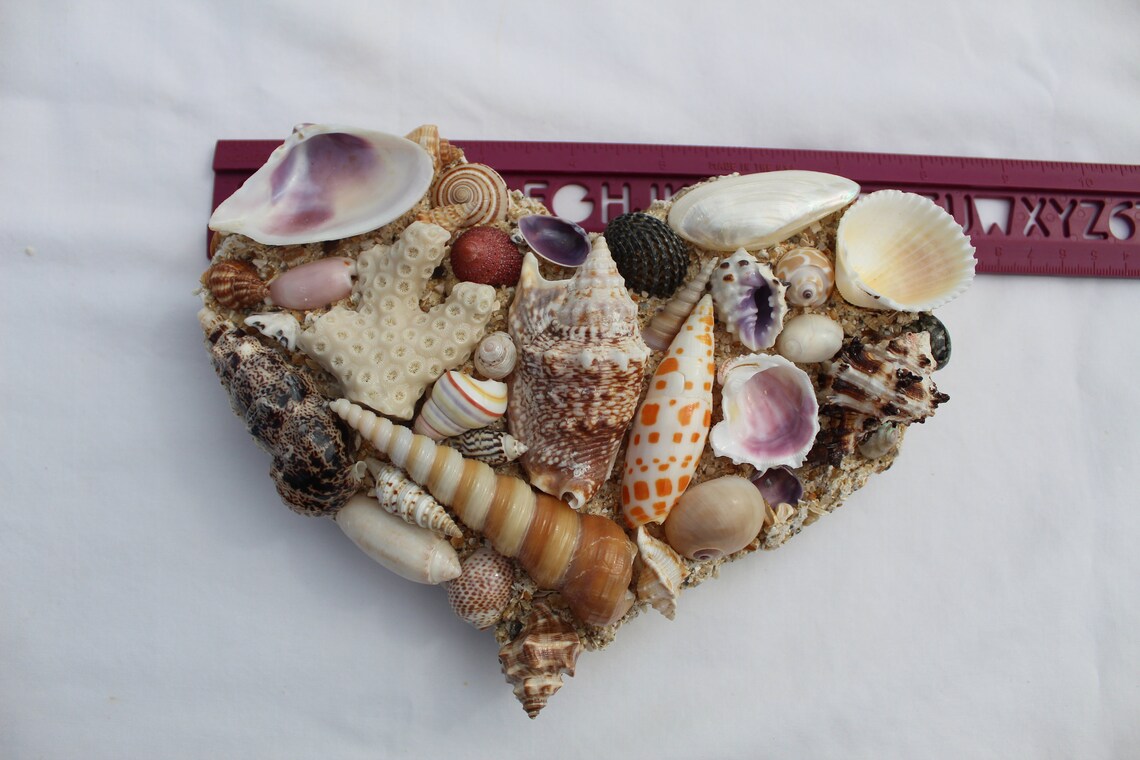 Small Shell Heart Wood Sea Shell Heart Handcrafted Heart - Etsy