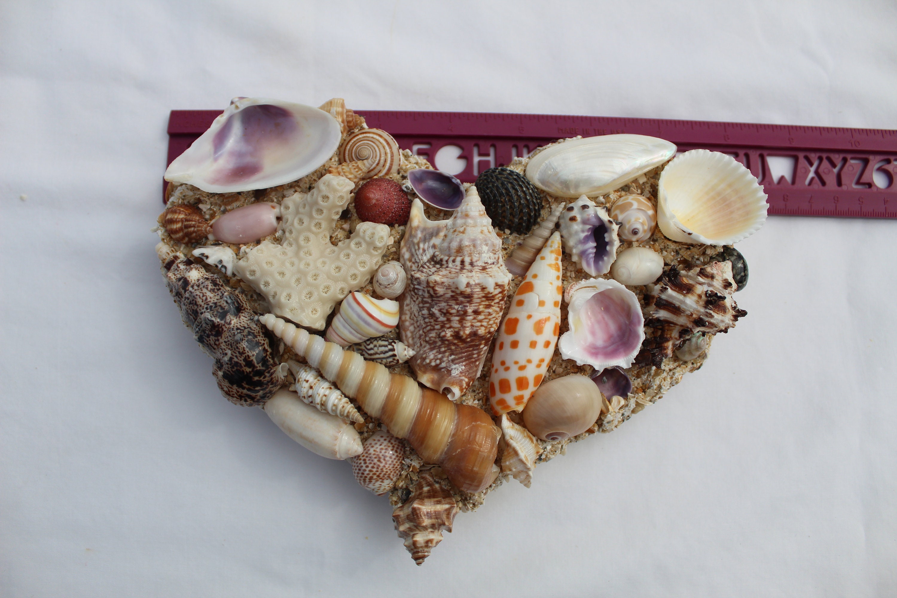 Small Shell Heart, Wood Sea Shell Heart, Handcrafted Heart, Love and ...