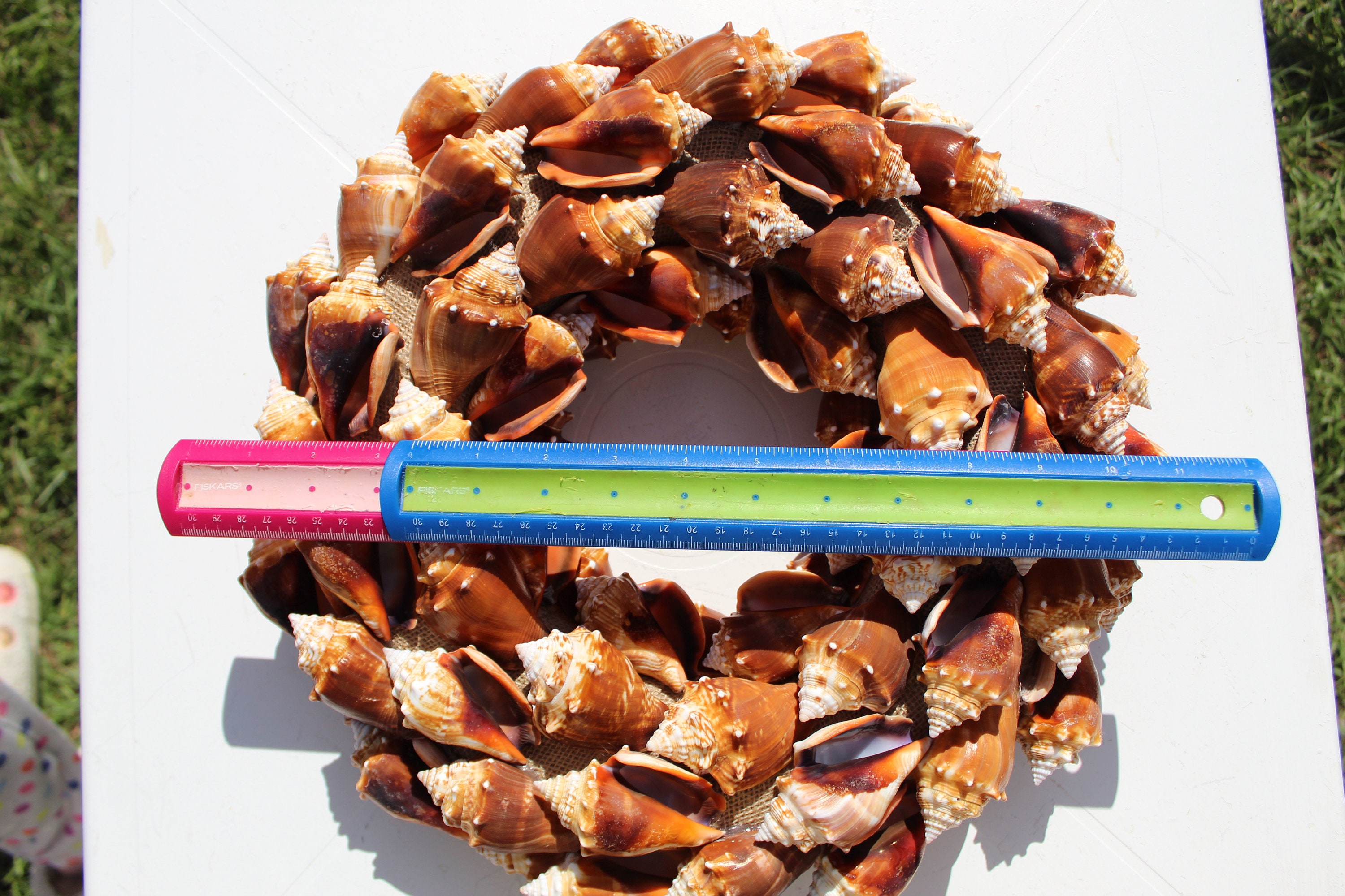 Fighting Conch Shell Wreath, Seashell Wreath, Shell Wall Hanging, Brown ...