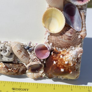 Seashell Frame, Beach Photo Frame, Shell Photo Frame, Shell Frame ...